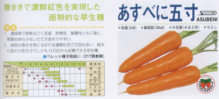 鮮紅色で、芯色も赤い大型五寸で、100日から収穫できる。