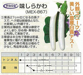 美しい豊産白長ナス。果長27cm位になる白長茄子でヘタ部は鮮緑色になる。炒め物・煮物などに利用して美味です。