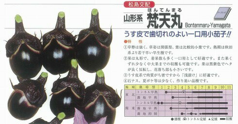 うす皮で肉質ち密、歯切れのよい一口用茄子。果形は秋田系より丸めです。
