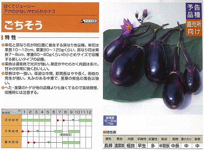 フルーツ感覚のミニ水ナス。果長5〜6cm、果重50〜60gぐらいのミニで収穫できる。浅漬け・サラダに最適。