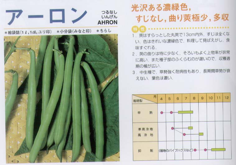 丸莢で13cm内外、すじなし、莢の曲がりは特に少ない。中生種。