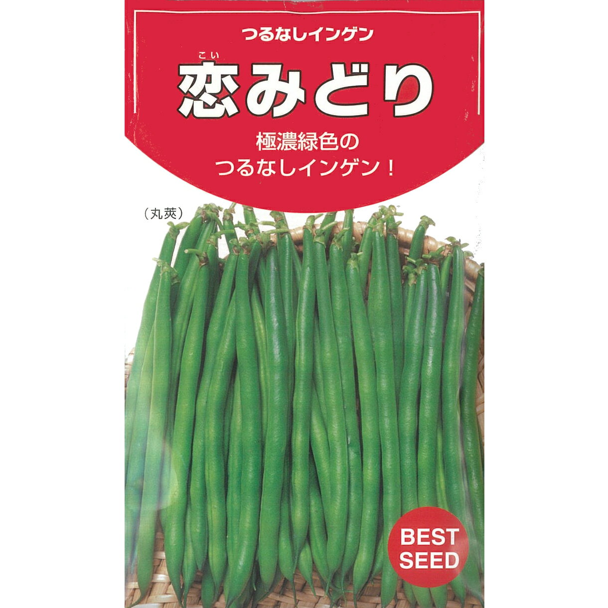 丸莢ですじなし。長さは14cm程度でよく揃う。莢色は極濃緑で莢表面の子実の目立ちも少ない。