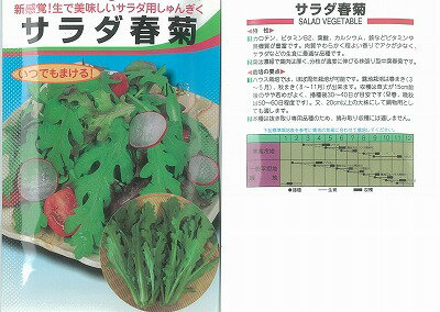 肉質やわらかく程よい香りでアクが少なくサラダなどの生食に最適な分枝が適度に伸びる株張り型中葉種。
