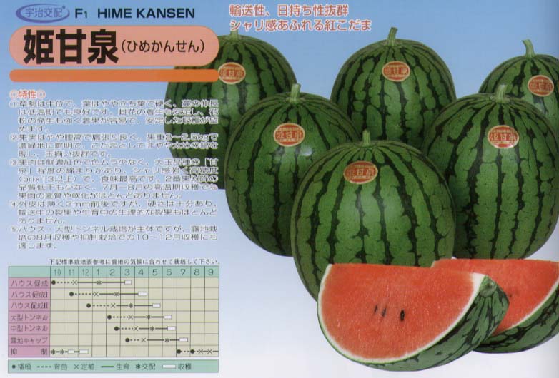 果重2〜2.5kg。玉ぞろい抜群。果肉は鮮紅色で色ムラ少なく、日持ちもよい。