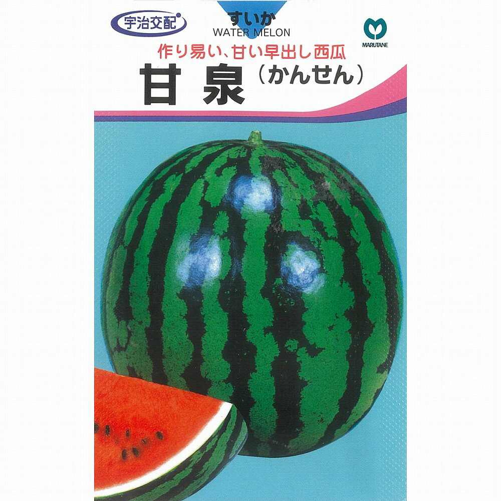 早生系でありながら、変形果の少ない大玉で、日持ちもよい。果肉は鮮紅色で、シャリがあり食味最高です。