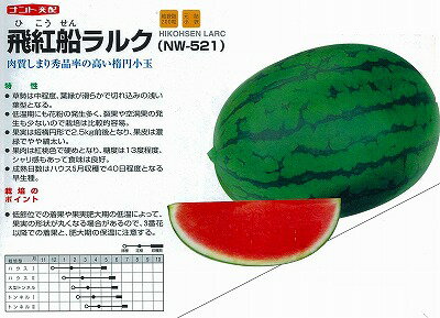 果実は短楕円形で2.5kg前後となる楕円小玉種。果肉は紅桃色で硬めとなり、糖度は13度程度。