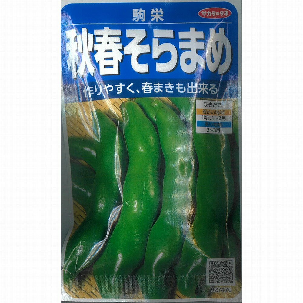 秋まき露地トンネル・マルチ栽培も可能であるが、特に低温を必要としない性質を生かした春まき栽培に適する。莢はやや長く濃緑。3粒莢が主体であるが4粒莢も比較的多い。