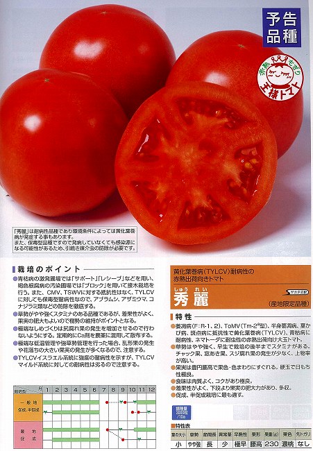 黄化葉巻病耐病性の赤熟出荷向きトマト。萎ちょう病・ToMV・半身萎ちょう病・葉かび病・斑点病に抵抗性も持つ。