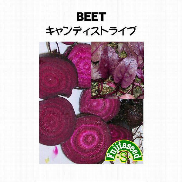 【特性】小さな時から葉の赤いビーツです。実の中は渦巻き状になっています。【利用方法】鮮やかなピンク色の若葉（ベビーリーフ）はサラダや付け合わせの彩りに。大きな根はボイルし、薄くスライスしてサラダに。ピンク色のポタージュスープもお薦めです。ま...