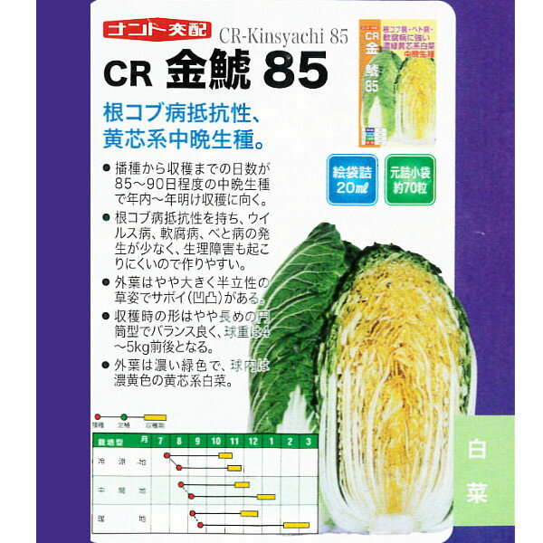 特性 ●根コブ病抵抗性、黄芯系中晩生種 ●播種から収穫までの日数が80～85日程度の中晩生種で年内～年明け収穫に向く。 ●根コブ病抵抗性を持ち、ウイルス病、ナンプ病、ベト病の発生が少なく、生理障害も起こりにくいので作りやすい。 ●外葉は大き...