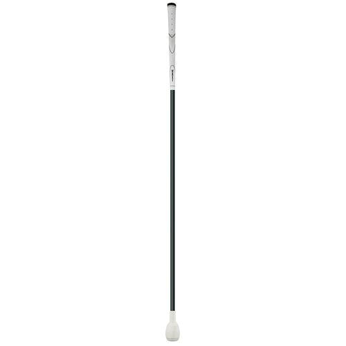 配送区分：Mサイズ【新品/取寄品】タバタ GV-0231LS トルネードスティック ロングタイプ※ご注文手続き後、当店より発送予定日または取寄商品の在庫有無・納期を記載したご注文確認メールをお送りいたしますので必ずご確認をお願い致します。 ...