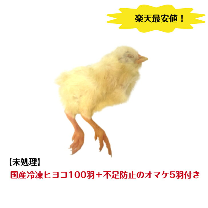 楽天最安値に挑戦！ まとめ買いで送料込み1羽あたり51円！ 更に20羽単位で不足防止のヒヨコが1羽オマケでついてきます★ こちらは1袋20羽＋不足防止オマケ1羽の合計21羽×5袋入り（合計100羽＋オマケ5羽）の商品となります。 ※オマケ分...