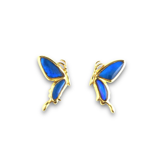 　★　Item Info【素材】シルバー925（ニッケルフリーメッキ）/樹脂【蝶の種類】カキカモルフォ（生息地：ペルー）【大きさ】縦：1.5×幅：0.8×厚さ：0.3cm【ポストの長さ】約1.0cm【重さ】約1g（片耳1個ぶん）【備考】蝶の...