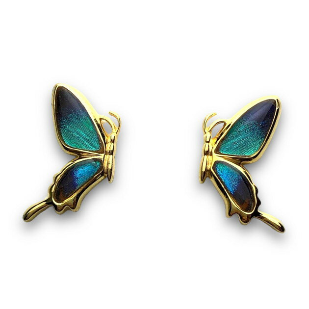 　★　Item Info【素材】シルバー925（ニッケルフリーメッキ）/樹脂【蝶の種類】ドクソコパチェルビナ（生息地：ペルー）【大きさ】縦：1.5×幅：0.8×厚さ：0.3cm【ポストの長さ】約1.0cm【重さ】約1g（片耳1個ぶん）【備考...