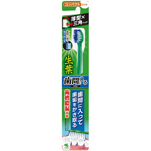 ●コンパクトタイプ・毛のかたさ「ふつう」の歯ブラシです。●歯間に届く飛び出し毛：断面が四角形の毛をねじったスパイラル毛。らせん状のエッジが歯垢をからめ落とす。●薄型×三角の幅広ヘッドで奥歯に届く。●歯槽膿漏対策※（※ブラッシングの歯垢除去に...