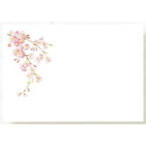 上質紙テーブルマット◇テーブルマットは、心を込めたお客様への「おもてなし」◇食のひと時を優雅に彩るアクセントでもあります。◇上質な和紙を採用しております。※印刷物の色は実際の色とは多少異なる場合があります。●サイズ：〈尺3〉260×380m...