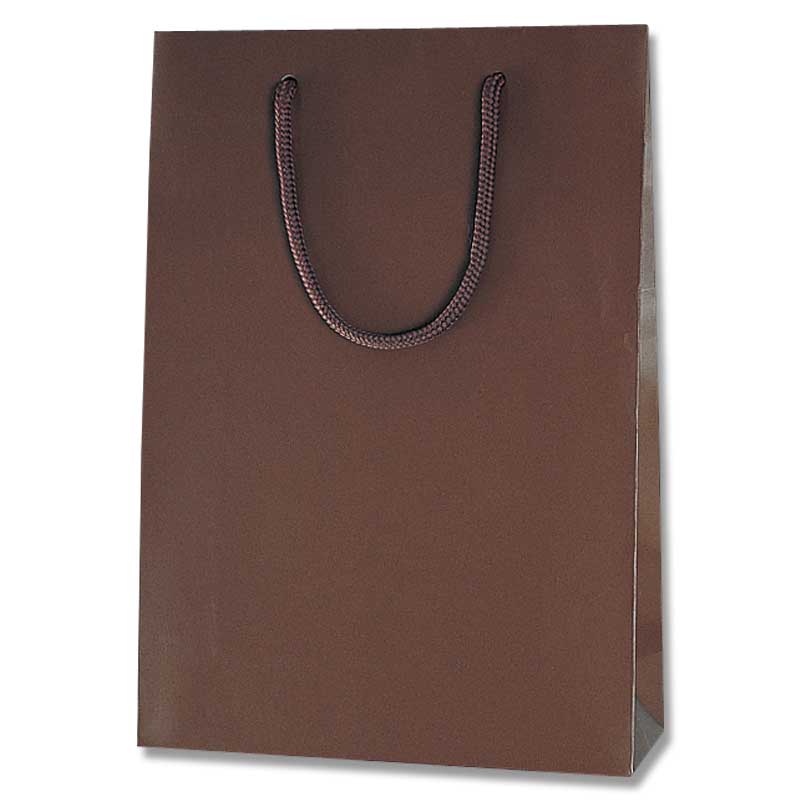 ●材質：紙 コート紙140g／m2 手紐：ポリエステル紐●サイズ 巾×マチ×高（mm）：225×80×320●入数：10枚●口部分と底面に厚紙が入っています。