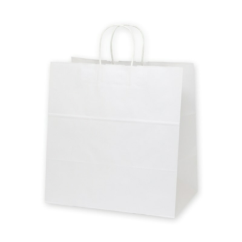 ●材質：紙 晒120g●サイズ 巾×マチ×高（mm）：380×250×395