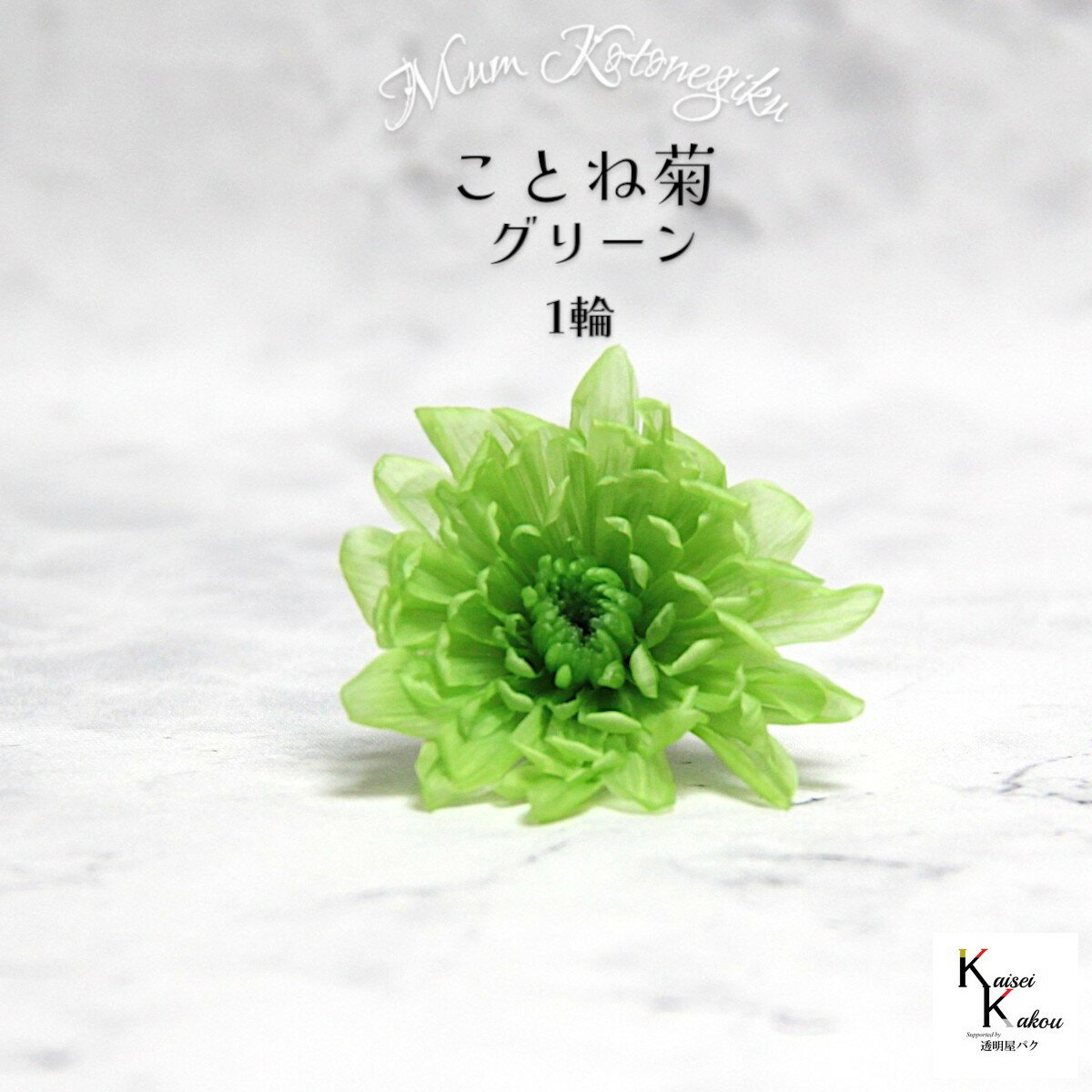 大地農園　「ことね菊 グリーン 1輪」　プリザーブドフラワー　プリザ　ハーバリウム　小花 ドライフラワー ハーバリウム アロマワックスバー 自然からの贈り物。大地農園プリザーブドフラワー！ 暮らしに馴染む優しい色合いの仏花だけではなくかわい...