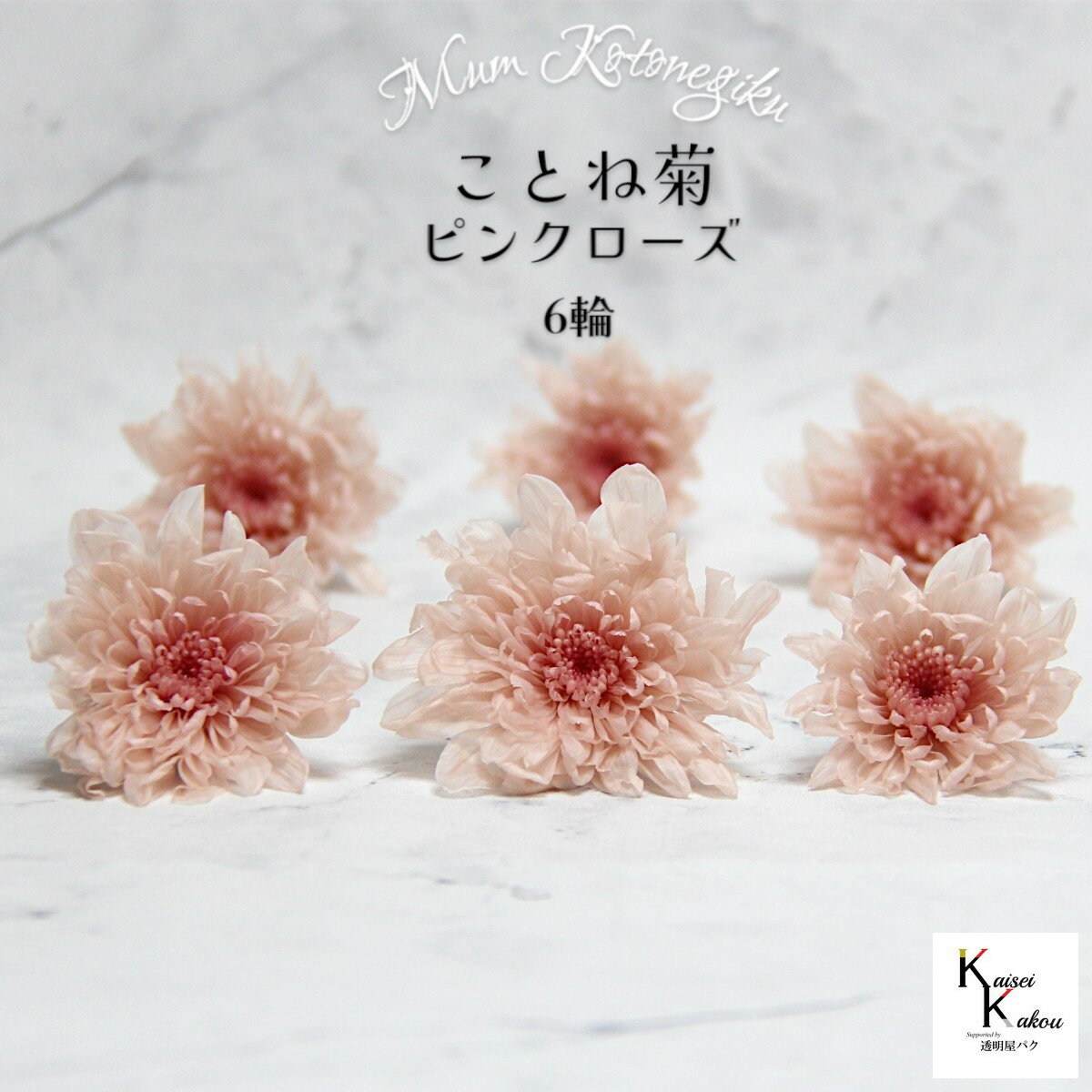 大地農園　「ことね菊 ピンクローズ 6輪」　プリザーブドフラワー　プリザ　ハーバリウム　小花 ドライフラワー ハーバリウム アロマワックスバー 自然からの贈り物。大地農園プリザーブドフラワー！ 暮らしに馴染む優しい色合いの仏花だけではなくか...