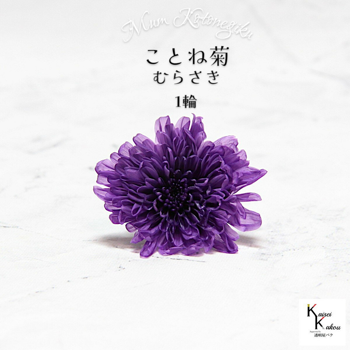 大地農園　「ことね菊 むらさき 1輪」　プリザーブドフラワー　プリザ　ハーバリウム　小花 ドライフラワー ハーバリウム アロマワックスバー 自然からの贈り物。大地農園プリザーブドフラワー！ 暮らしに馴染む優しい色合いの仏花だけではなくかわい...