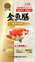 高タンパク質・高脂肪の高増体用処方です。 らんちゅうが食べやすい沈下性です。 高い成長性を示します。 原材料／フィッシュミール・小麦粉・デンプン・大豆油粕・コーングルテンミール・米糠油粕・動物性油脂・コラーゲンペプチド・パプリカ抽出物・クエ...