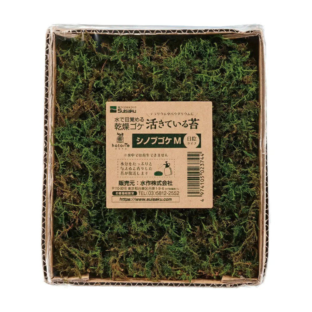 水で目覚める乾燥ゴケ 水分をたっぷりと与えると青々した苔が復活します。 テラリウムやパルダリウムに 水中では育生できません。 タイプ 日陰