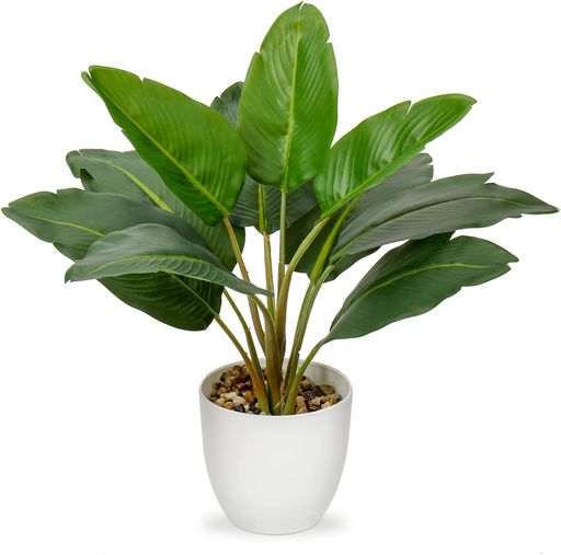 【仕様&amp;高品質】人工観葉植物の高さは37CM、鉢のサイズは幅10.5CM*高さ11CMです。高品質のPE材質を採用しており、グラデーション・ハローの技法を用い、葉は自然に着色されています。葉は厚く、質感がよく、遠目には本物と見間違う...
