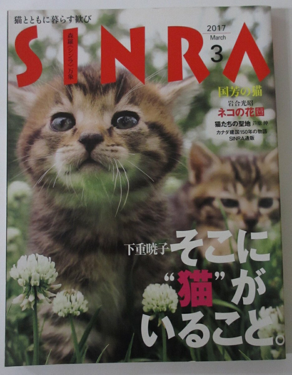 全体的に状態は良好です。楽天専用商品。