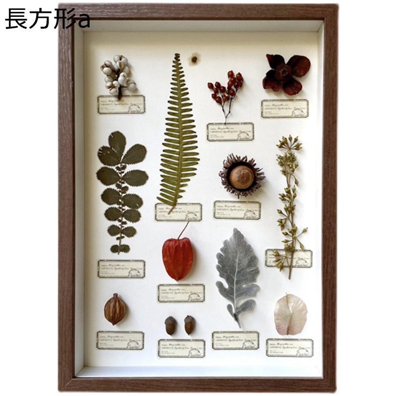 　　　 ◆◇◆人気の秘密◆◇◆ 素材：木枠ガラス、透明ガラスが自然な瞬間を残します。 高品質の木材でできており、毒性がなく、環境に優しく、耐久性があります。 すべての標本は倫理基準に準拠しており、飼育下の農場から来ています。 彼らは完全なラ...