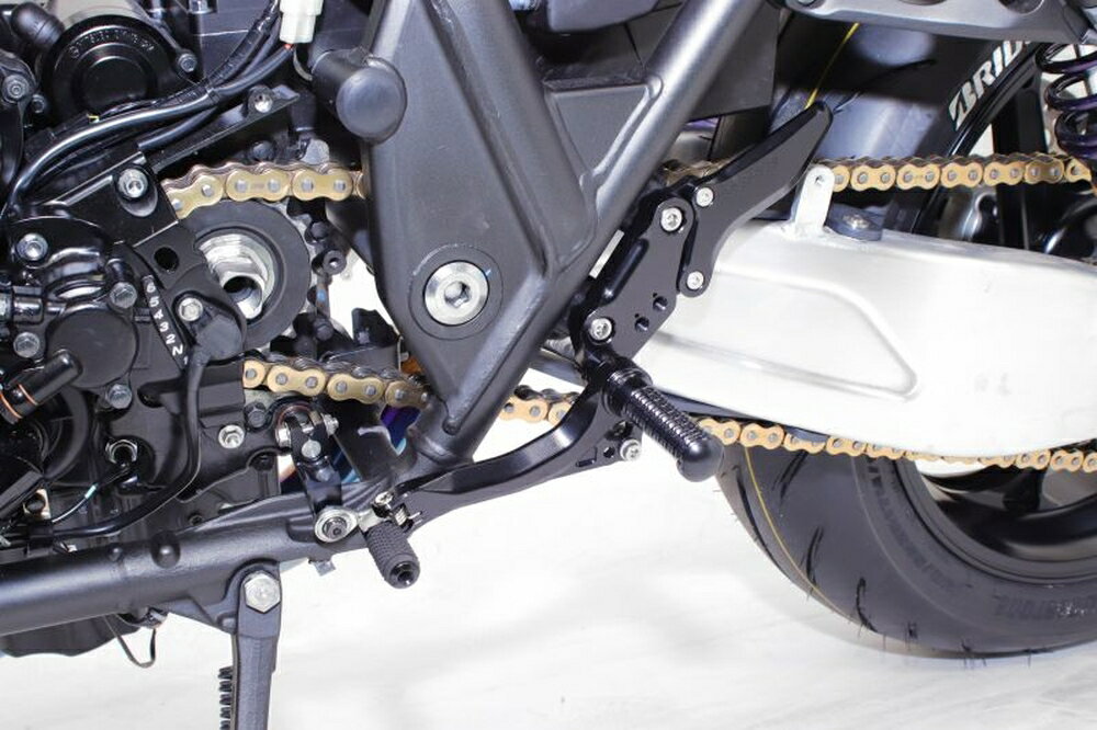 ◆適合車種 KAWASAKI ZRX1200 DAEG '2009 〜 '2016 KAWASAKI ZRX1200R '2001 〜 '2008 KAWASAKI ZRX1200S '2001 〜 '2004ストレスフリーなペダル操作へ。...