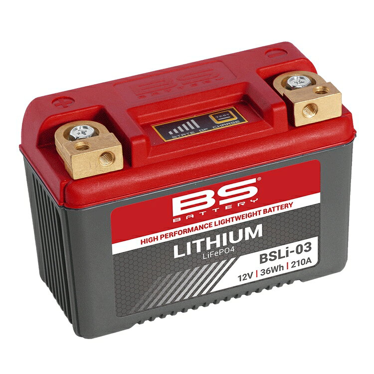 軽量、パワフル、コンパクトそしてバッテリーマネージメントシステム（BMS）を内蔵した高性能で安全性の高いバッテリーです。自己放電に強いため長期保存に適し、低温状態での始動性にも優れます。充電サイクル2000回を超える実力を評価され、MVアグ...