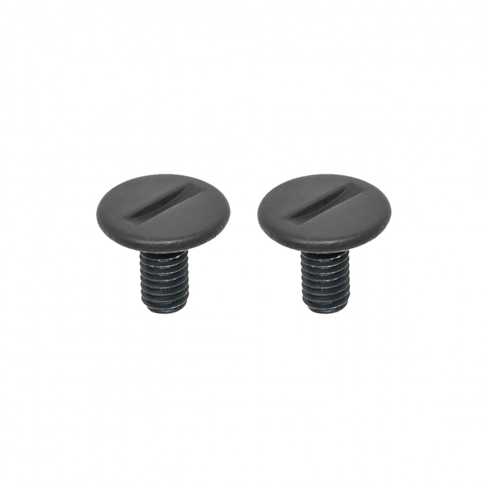 RX-100R2、KLEIN用、シールド固定用のビス。 ◆2個入り