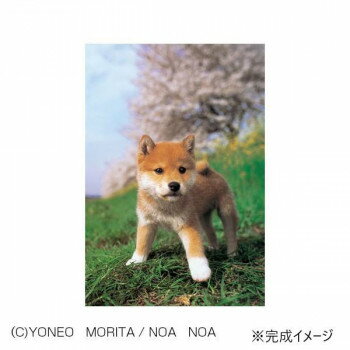 ※代引き不可 同梱不可※北海道、沖縄、離島送料は別途お見積り。※手配完了後は、ご注文キャンセルを承る事が出来ません。指定日可能の表示以外の商品はご指定日不可です。メーカーより取り寄せ商品のため、在庫状況によっては欠品・廃盤の可能性があります...