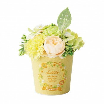 ※代引き不可 同梱不可※北海道、沖縄、離島送料は別途お見積り。※手配完了後は、ご注文キャンセルを承る事が出来ません。指定日可能の表示以外の商品はご指定日不可です。メーカーより取り寄せ商品のため、在庫状況によっては欠品・廃盤の可能性があります...