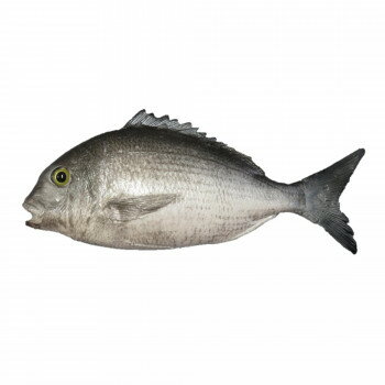 ※代引き不可 同梱不可※北海道、沖縄、離島送料は別途お見積り。※手配完了後は、ご注文キャンセルを承る事が出来ません。指定日可能の表示以外の商品はご指定日不可です。メーカーより取り寄せ商品のため、在庫状況によっては欠品・廃盤の可能性があります...