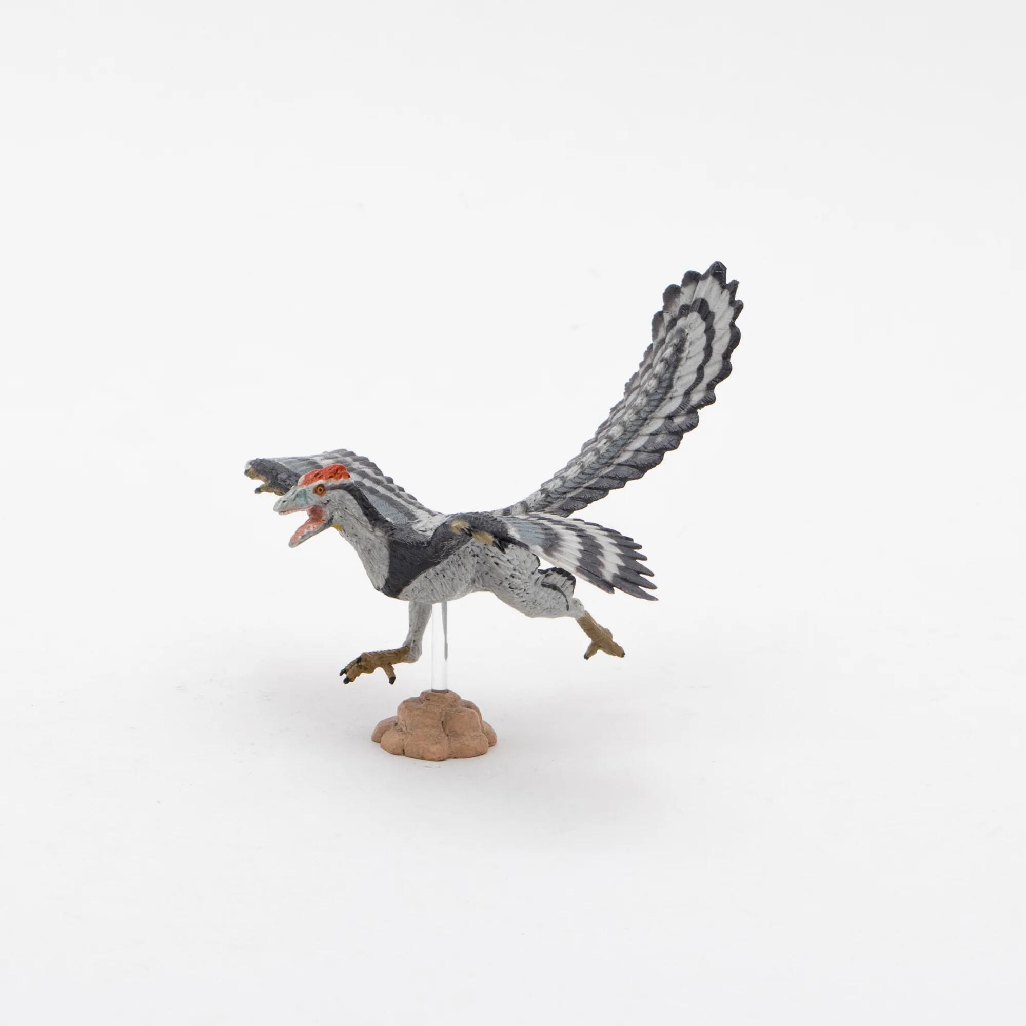 【ダイナソーモデル】シリーズはコチラ 【商品名】 アーケオプテリクス/ 始祖鳥 ソフトモデル 【仕様】 総合監修：荒木一成 商品サイズ：L11.5×W12.5×H7cm / 23g Item CD：73318 【商品説明】 獣脚類の特徴と鳥...