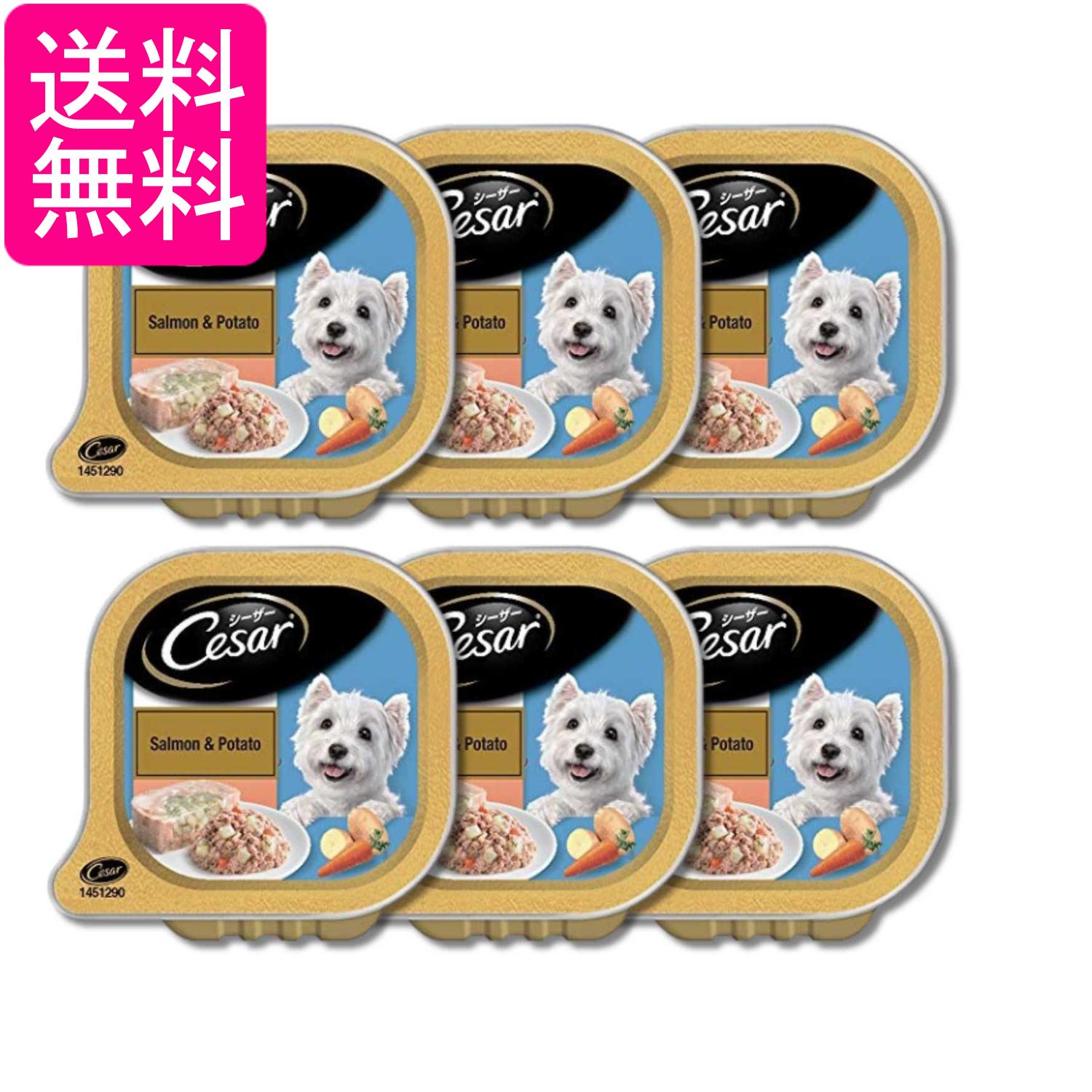 掲載商品の仕様や付属品等の詳細につきましては メーカーに準拠しておりますので メーカーホームページにてご確認下さいますよう よろしくお願いいたします。 当店は他の販売サイトとの併売品があります。 ご注文が集中した時、システムのタイムラグによ...
