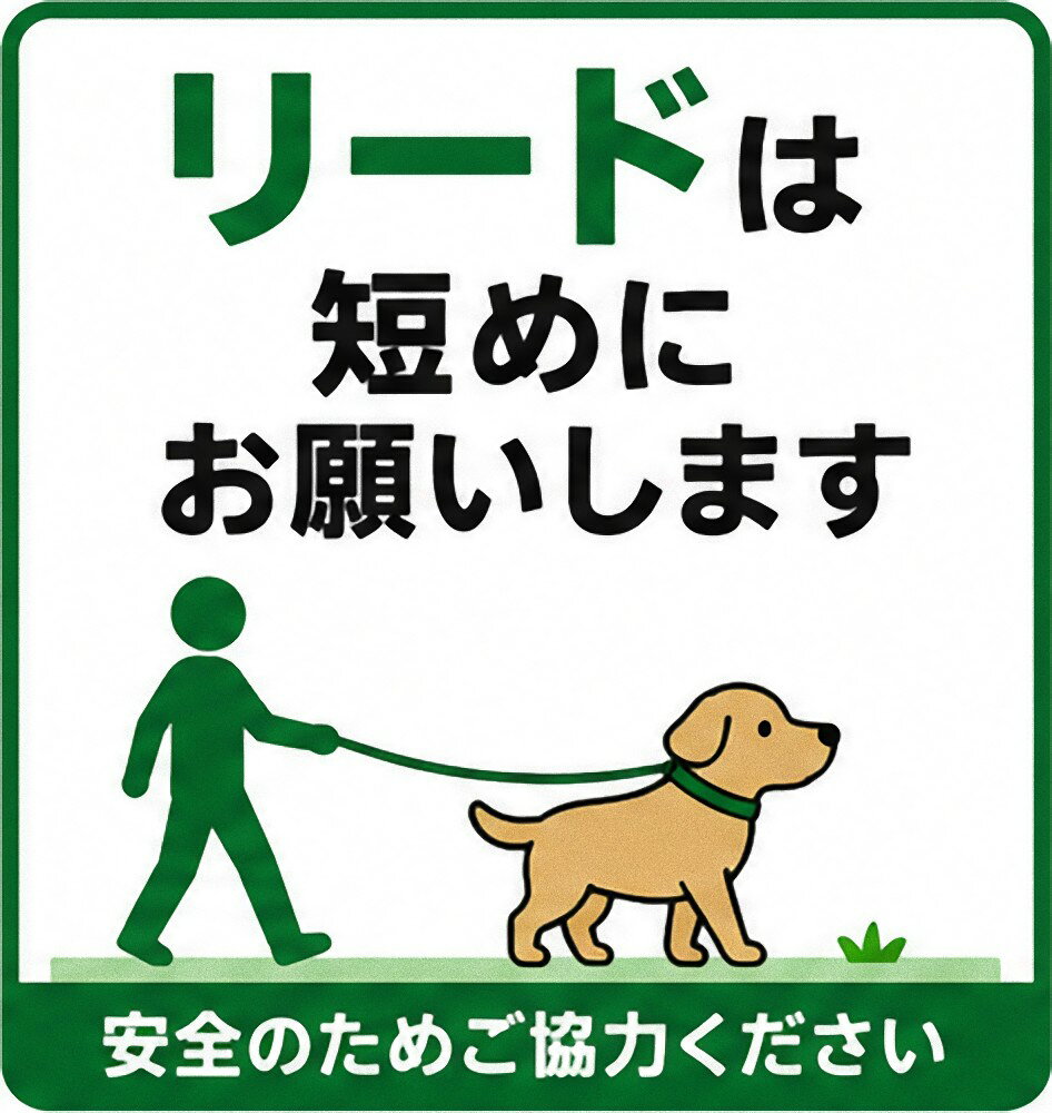 ・こちらの商品は全国送料無料にて発送いたします。 ・日本郵便のクリックポストでの発送となり3日~4日程でお届けの予定です。 ・車・バイク・ヘルメット・スケボー・ギターなどに適用。 ・材質は、塩ビシールにラミネート加工しています。 ・大きさは...