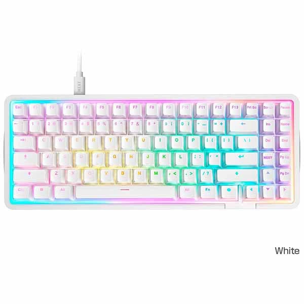 ラピッドトリガー対応のNZXTマグネティックスイッチを搭載。最大8,000Hzのポーリングレートに対応する75%ゲーミングキーボード [特徴] ・テンキーを省略した75%サイズのコンパクトデザイン ・US配列 88キーボード（テンキーレス）...