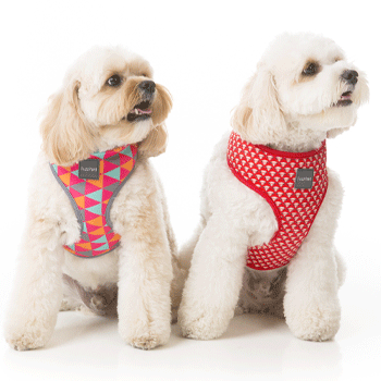 Say What Now? Fashion Harness ソフトハーネス かわいいデザインのソフトハーネスはファッションのように気分で着回してもいいかも。 ワンタッチ装着だから「らくらく簡単」。 裏地メッシュ素材でやわらか。 ソフトハーネ...