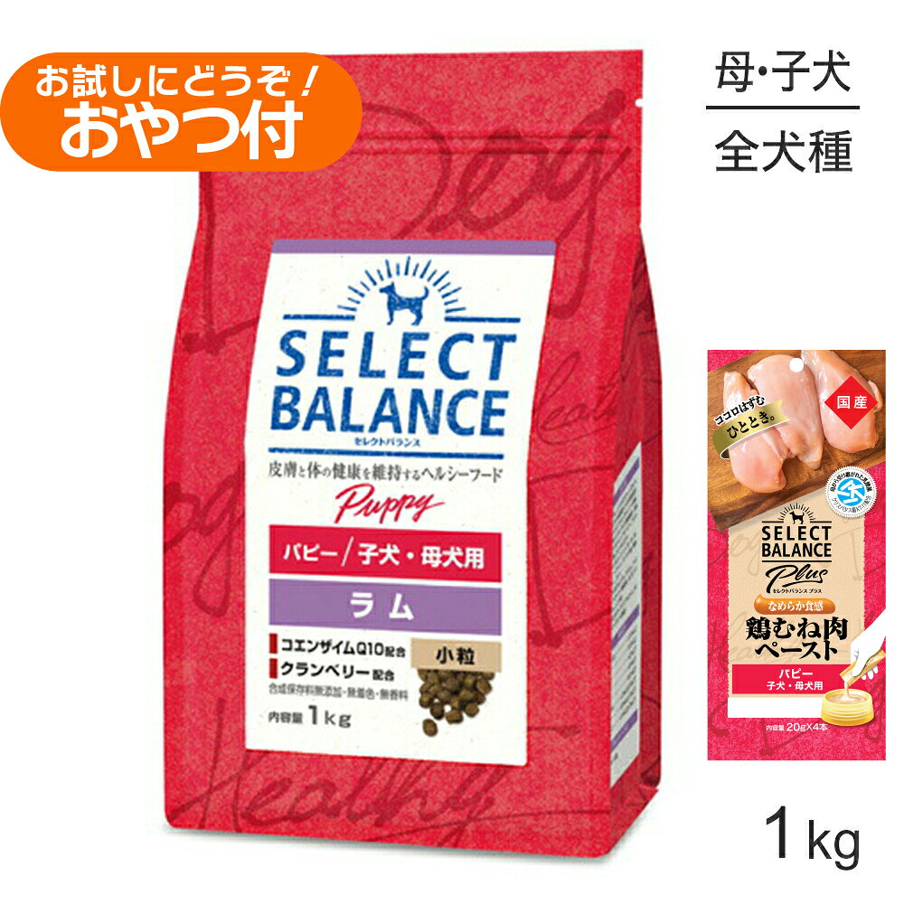 【この商品は「セレクトバランス Plus パピー 子犬・母犬用 鶏むね肉ペースト 20g×4本」のお試しおやつ付きです】商品の特徴セレクトバランス パピー ラムは、1才未満の子犬と妊娠・授乳期の母犬の健康に必要な栄養をバランスよく含み、子犬...