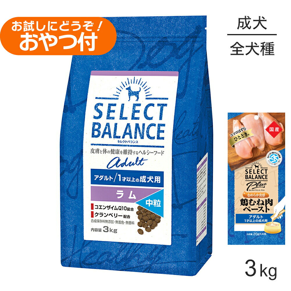 【この商品は「セレクトバランス Plus アダルト 1才以上の成犬用 鶏むね肉ペースト 20g×4本」のお試しおやつ付きです】商品の特徴セレクトバランス アダルト ラムは、1才以上の成犬の健康維持に必要な栄養をバランスよく含んでいます。●食...