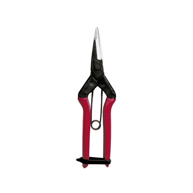 ●メーカー名：近正 / chikamasa(チカマサ)●商品名：T-601K 大型摘果鋏 刃先薄刃 BP●メーカー品番：T-601K●JANコード：4967645011418商品の保証は、メーカー保証書の内容に準じます。仕様■全長サイズ：1...
