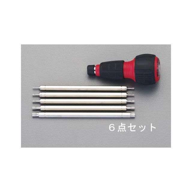 ●メーカー名：エスコ / ESCO●商品名：T6-T40 Hexlobe ドライバーセット（差替・ラチェット式）●メーカー品番：EA564AH-12A●JANコード：4548745596687商品の保証は、メーカー保証書の内容に準じます。備...