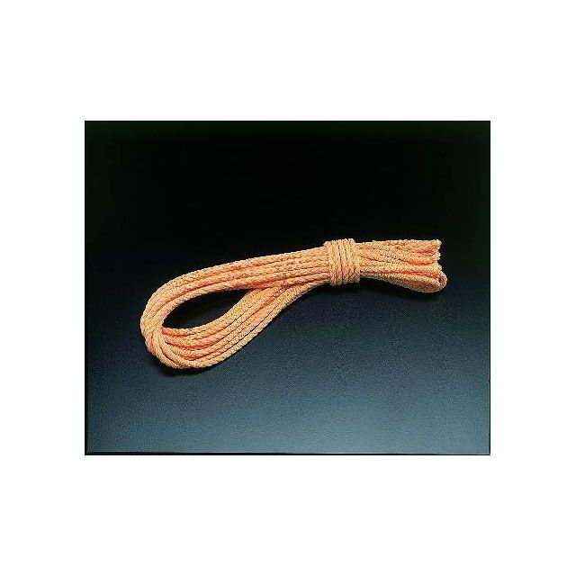 ●メーカー名：エスコ / ESCO●商品名：10.0mm x30m トラックロープ（ハイクレ）●メーカー品番：EA628XB-30C●JANコード：4518340057265商品の保証は、メーカー保証書の内容に準じます。備考■材質…ポリエチ...