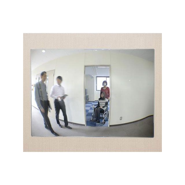 ●メーカー名：エスコ / ESCO●商品名：220x165mmフラット型凸面機能ミラー（左右/マグネット）●メーカー品番：EA724ZM-16●JANコード：4550061548745商品の保証は、メーカー保証書の内容に準じます。備考■メー...