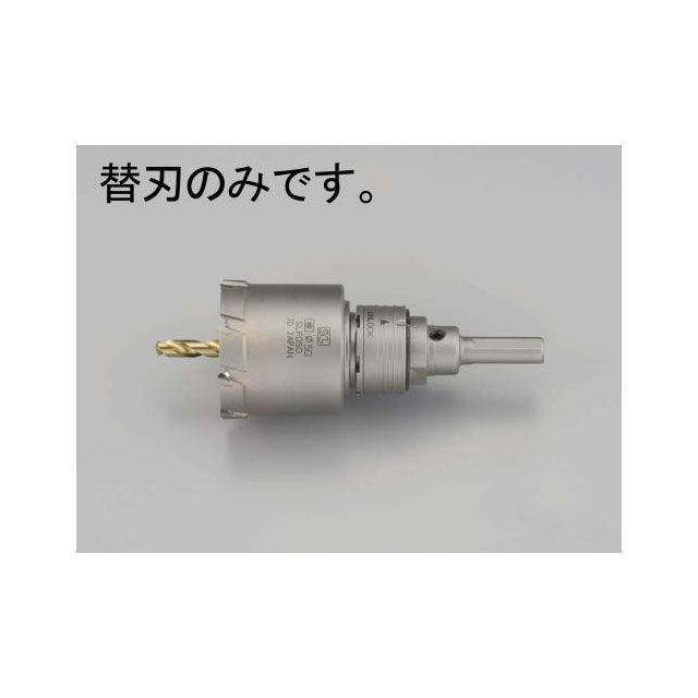 ●メーカー名：エスコ / ESCO●商品名：65mm 超硬付深穴ホールソー（替刃）●メーカー品番：EA822E-65●JANコード：4548745390681商品の保証は、メーカー保証書の内容に準じます。備考■EA822E-65S用替刃■回...