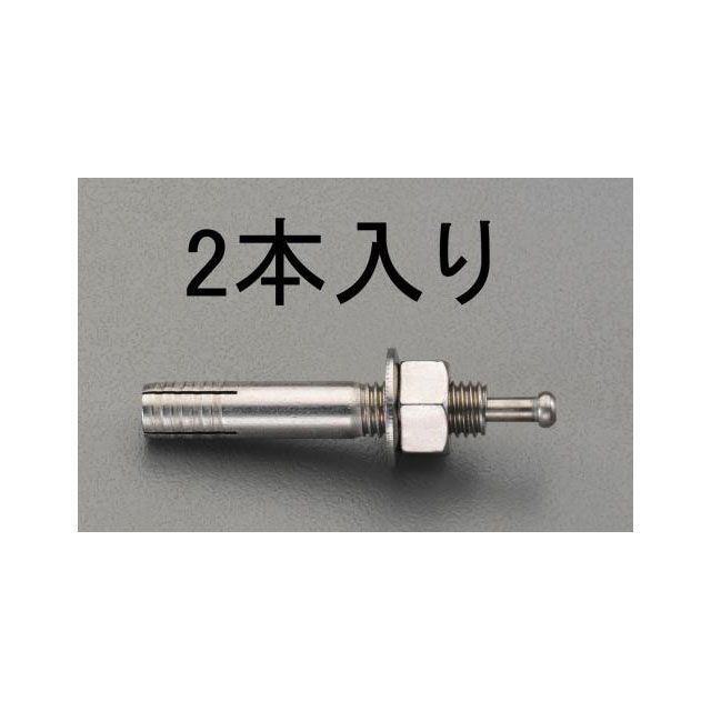 ●メーカー名：エスコ / ESCO●商品名：M12x120mm 雄ねじアンカー（ステンレス製/2本）●メーカー品番：EA945BC-124●JANコード：4548745823820商品の保証は、メーカー保証書の内容に準じます。備考■材質…ス...