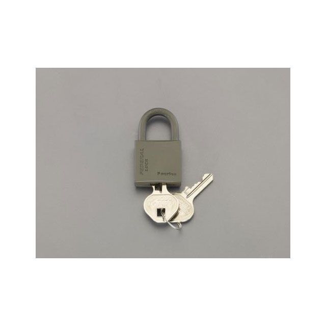 ●メーカー名：エスコ / ESCO●商品名：30mm シリンダー南京錠（OD色）●メーカー品番：EA983SG-230●JANコード：4548745724813商品の保証は、メーカー保証書の内容に準じます。備考■材質…本体：真鍮ツル：ハード...